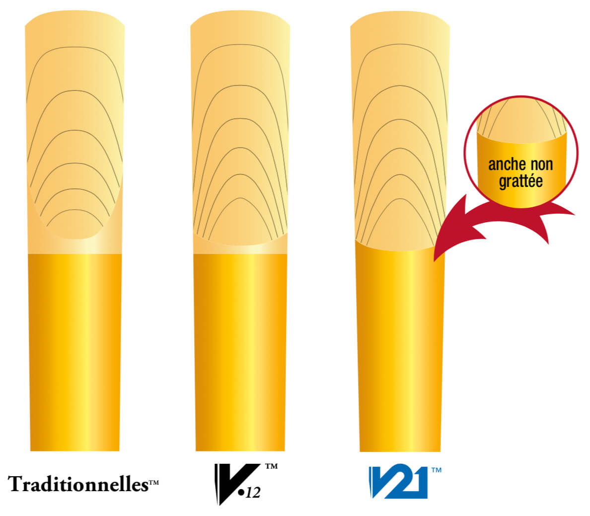 Anches Saxophone Sopranino Vandoren Traditionnelles, Boite de 10 anches ...